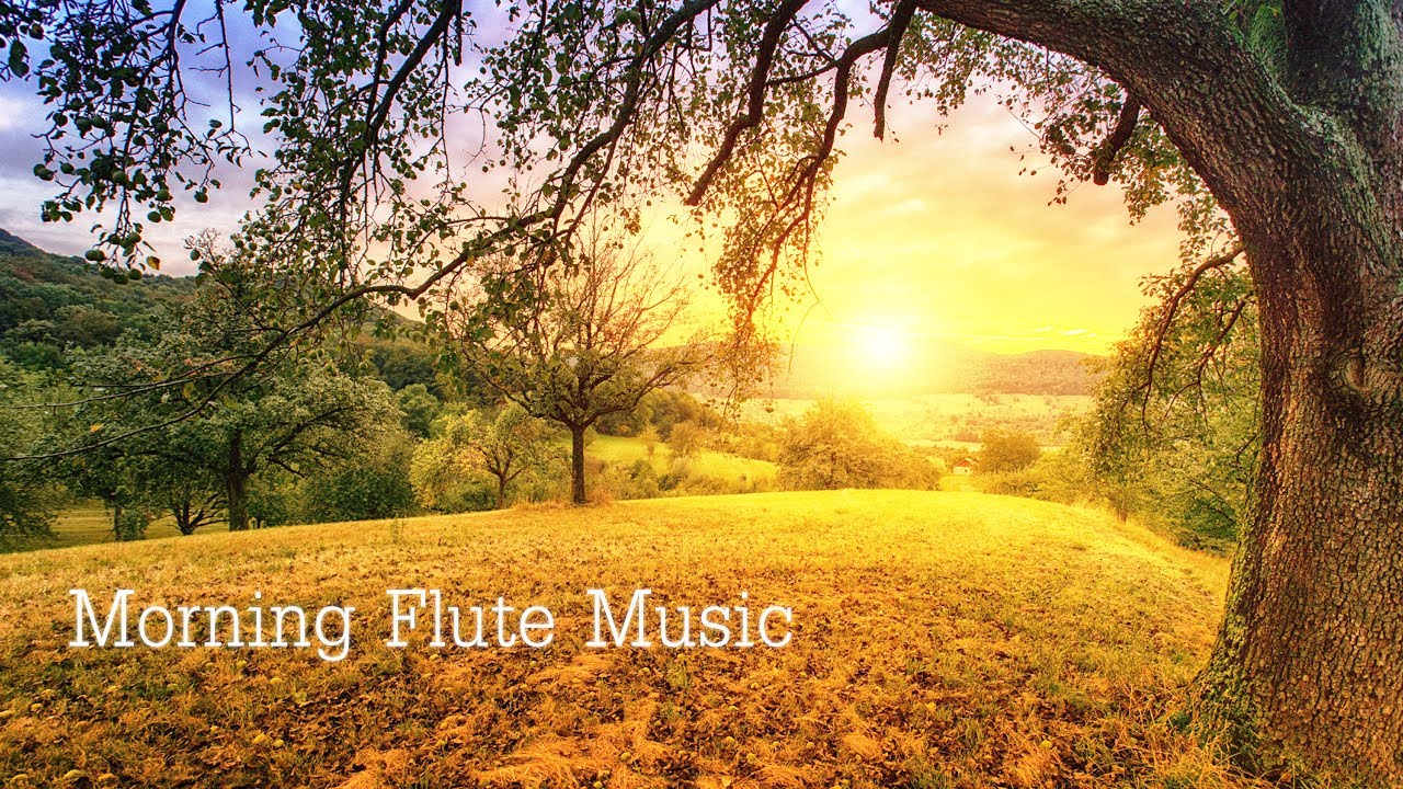 Himalayan Flute Music | Morning Flute Music | Flute Meditation Music ...