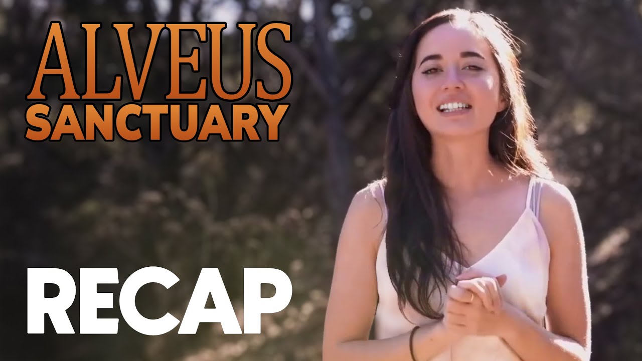 Alveus Sanctuary Recap | How it started & where we are at - YouTube