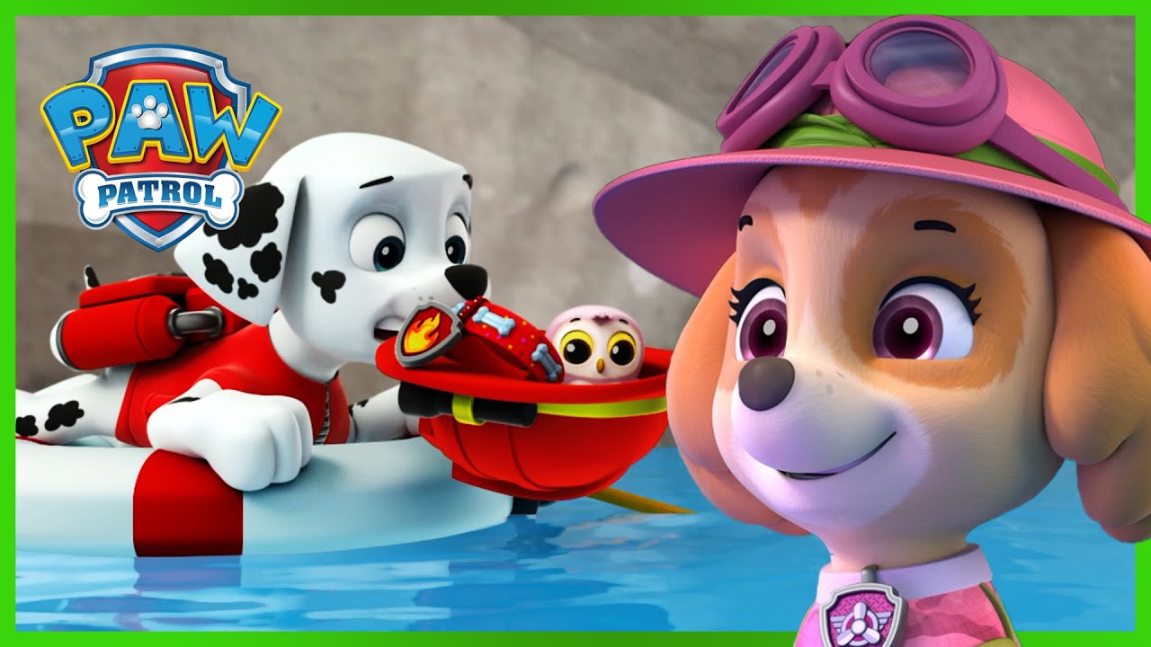 Over 1 Hour Of Skye And Marshall Rescues ☁️ 🔥 Paw Patrol Compilation 9880