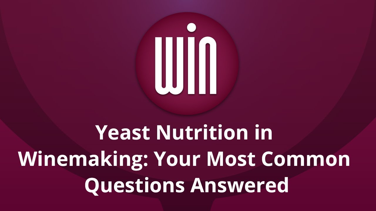 Yeast Nutrition in Winemaking: Your Most Common Questions Answered ...