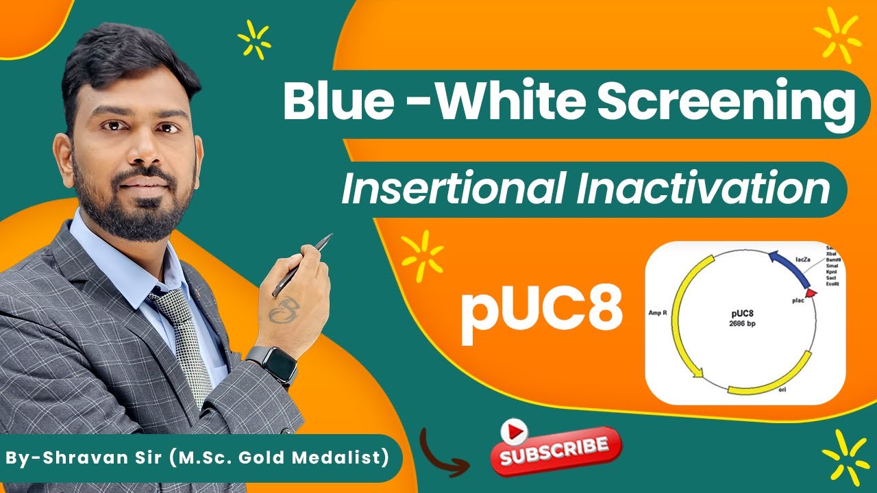 Blue white Screening | Insertional Inactivation by using lac Z gene ...