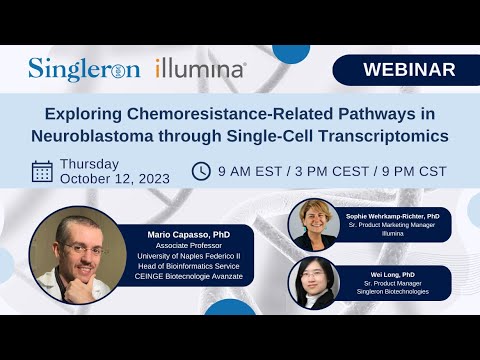 Exploring Chemoresistance-Related Pathways in Neuroblastoma through Single-Cell Transcriptomics ...