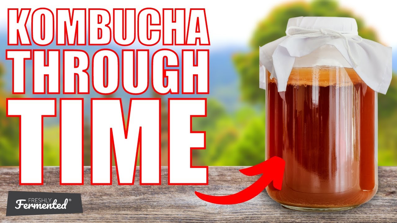 Kombucha Through Time | The History of Kombucha - YouTube