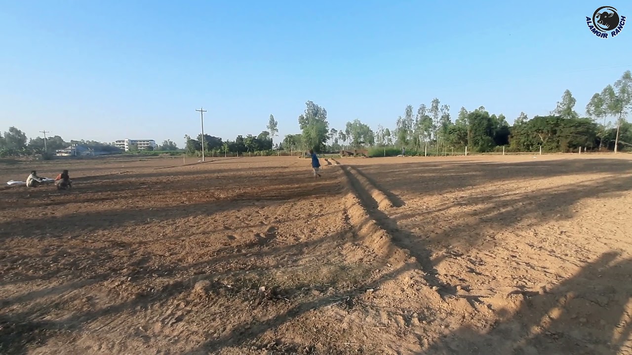 Biggest Grass field project of Alamgir Ranch 02। - YouTube