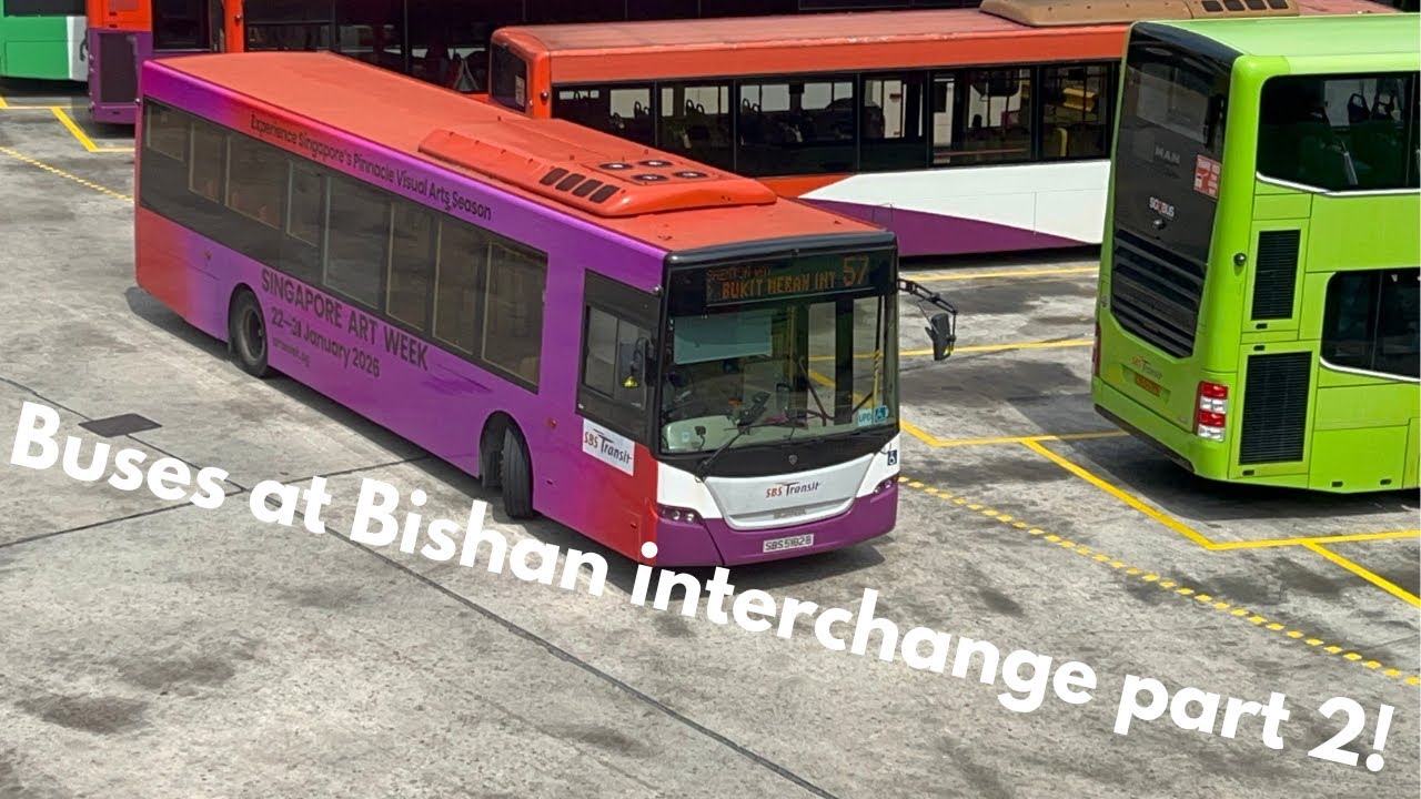 Buses at Bishan interchange, 2026 part 2 - YouTube
