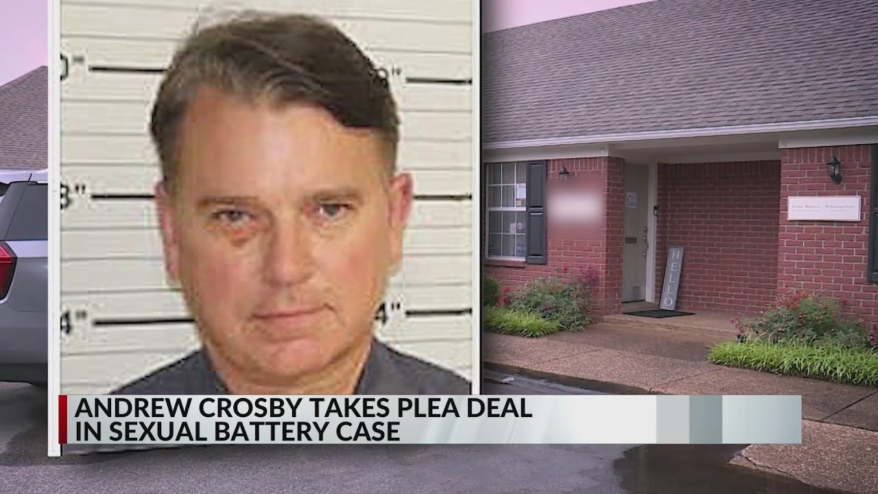 Andrew Crosby pleads guilty to assault in medical spa case - YouTube