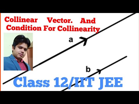 Collinear Vectors..and condition for collinearity class 12/IIT JEE ...