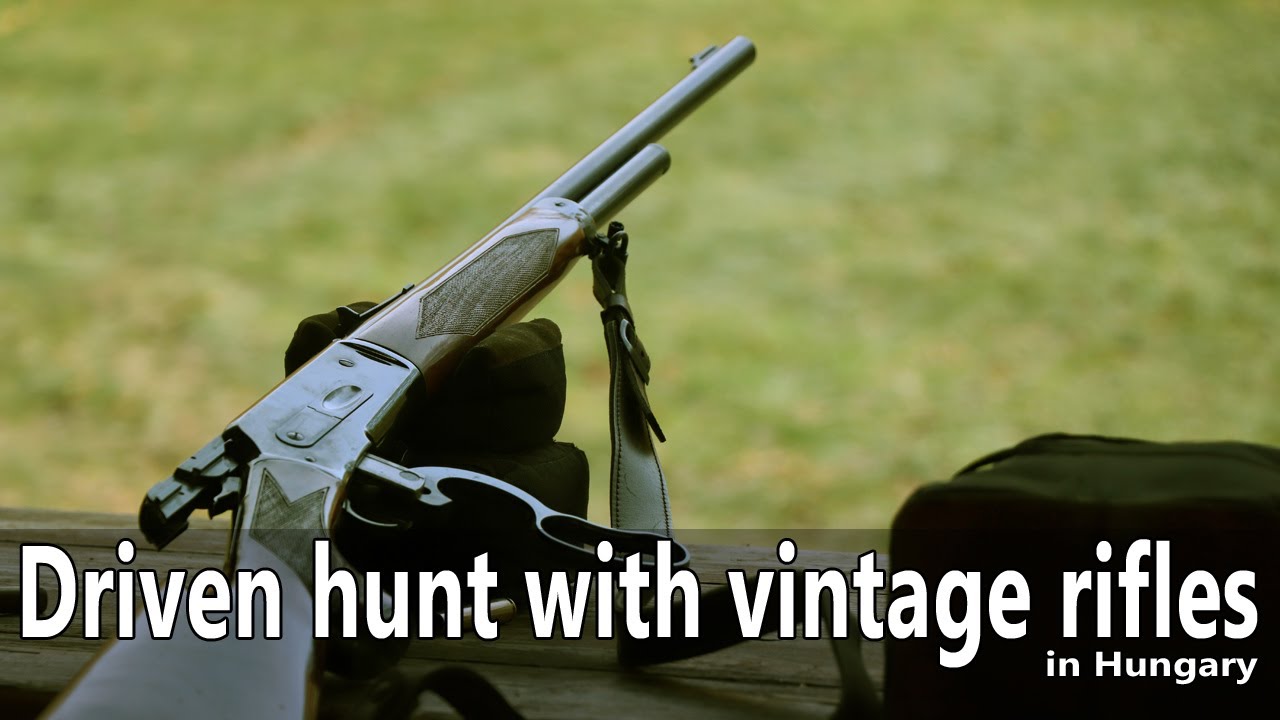Vintage rifle driven hunt in Hungary - YouTube