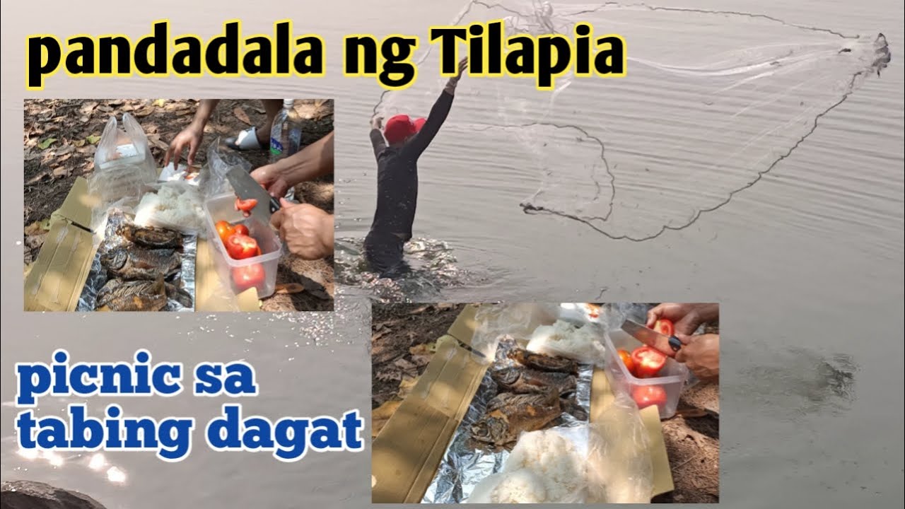 PANDADALA NG TILAPIA, PICNIC SA TABING DAGAT - YouTube
