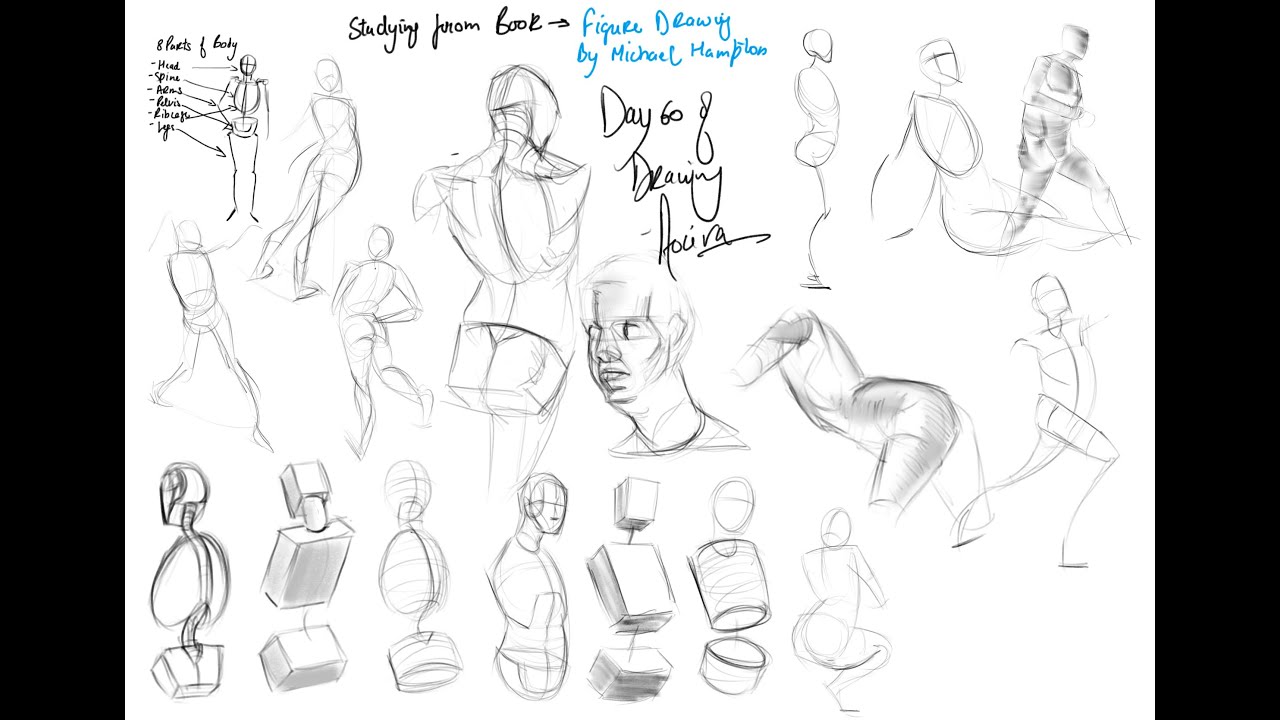 Day 60/365 of drawing (studying from Michael Hampton book) - YouTube