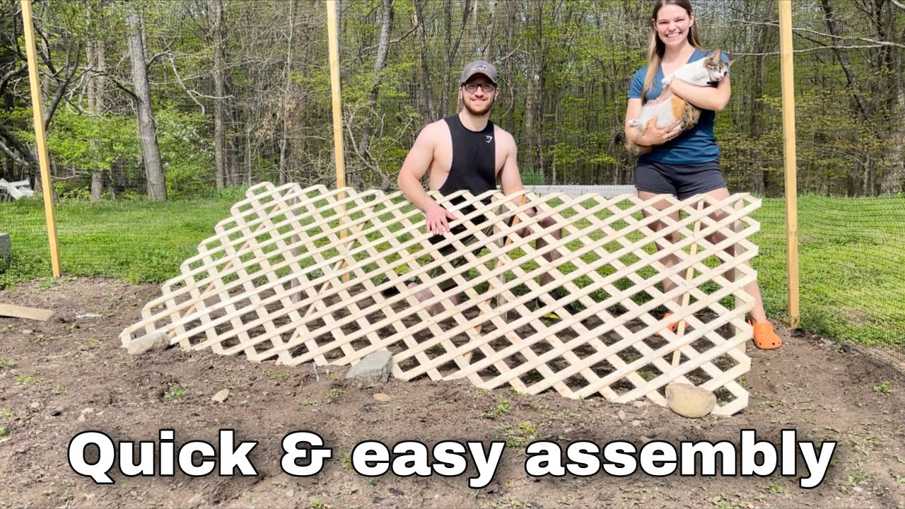 How to build a DIY cucumber trellis | growing cucumbers up to save ...