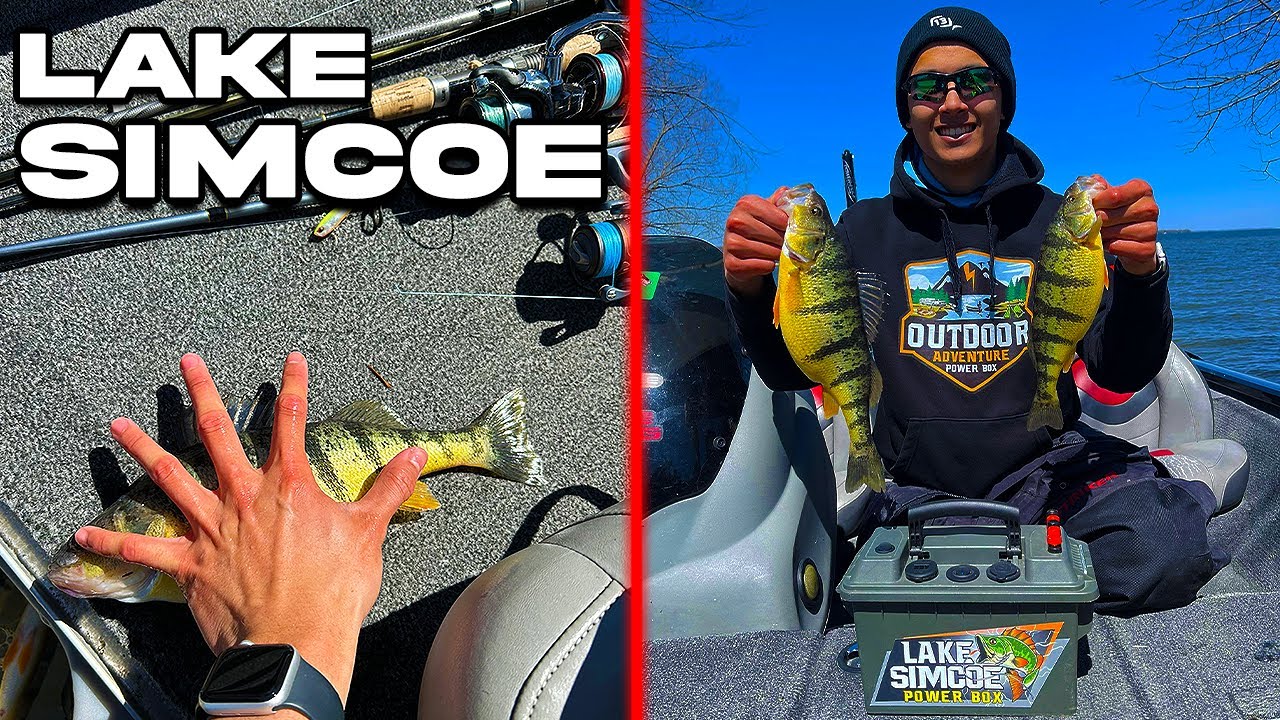 Spring Perch Fishing - Lake Simcoe 2024 - YouTube