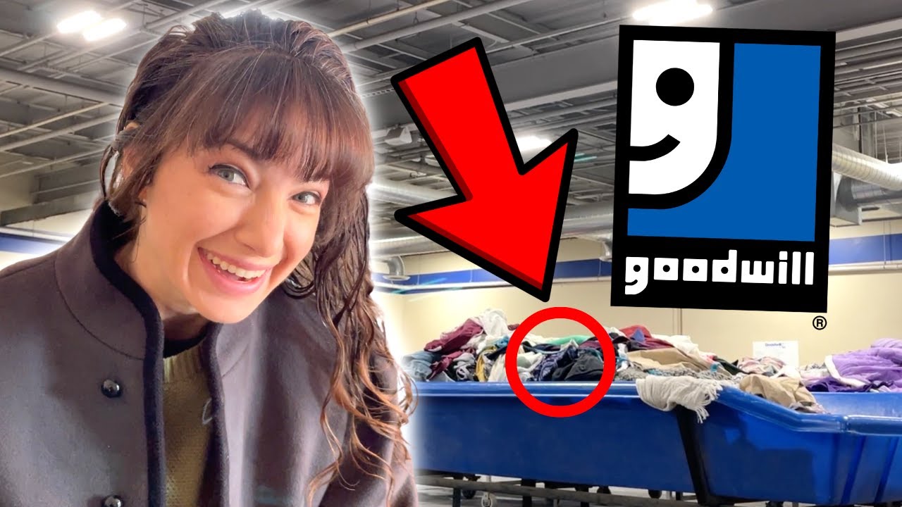 You Won’t Believe What Was Hidden At The Bottom of The Goodwill Bins in ...