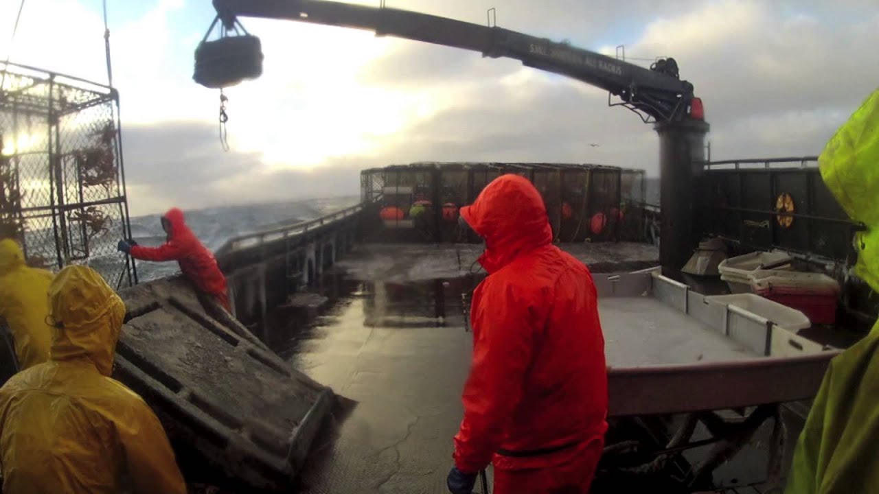 Bering Sea Opilio Crab Fishing - YouTube