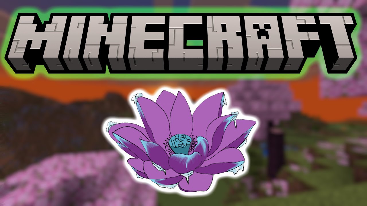 Minecraft Community Server Showcase! - YouTube