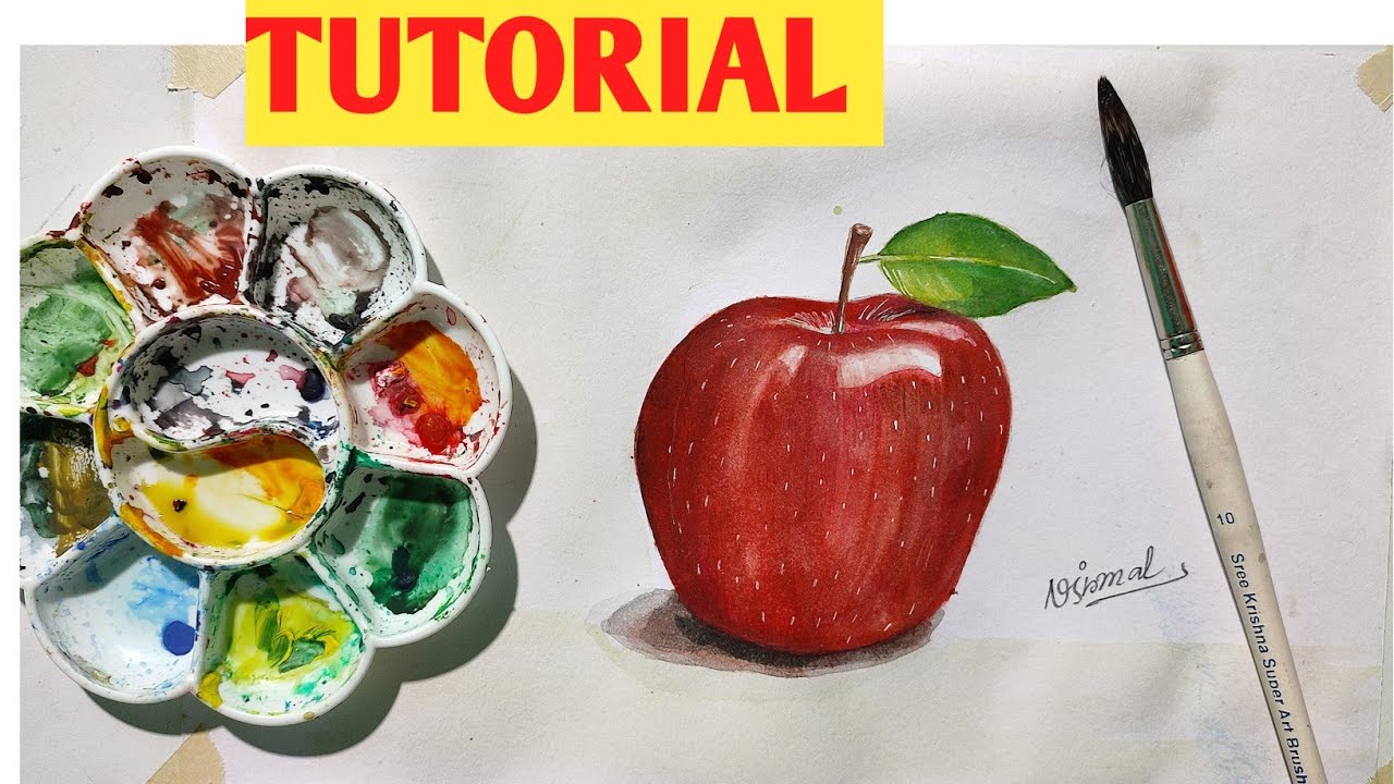 How to Draw a Realistic Apple step by step// Realistic Apple Drawing ...