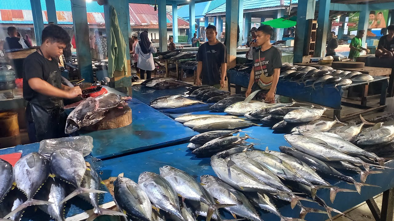 Live aktivitas di pagi di pasar ikan jembatan puri dan keterampilan ...