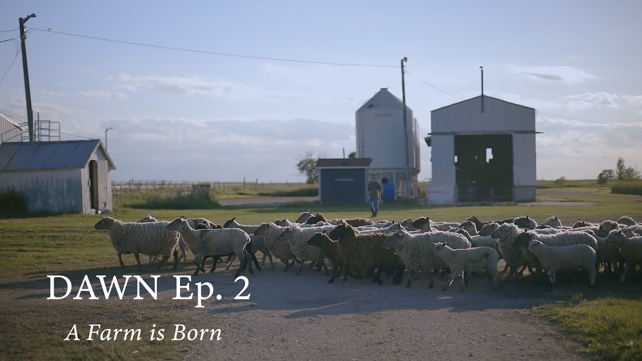 DAWN Trailer - Ep 2 - A Farm is Born - This family left the city to ...