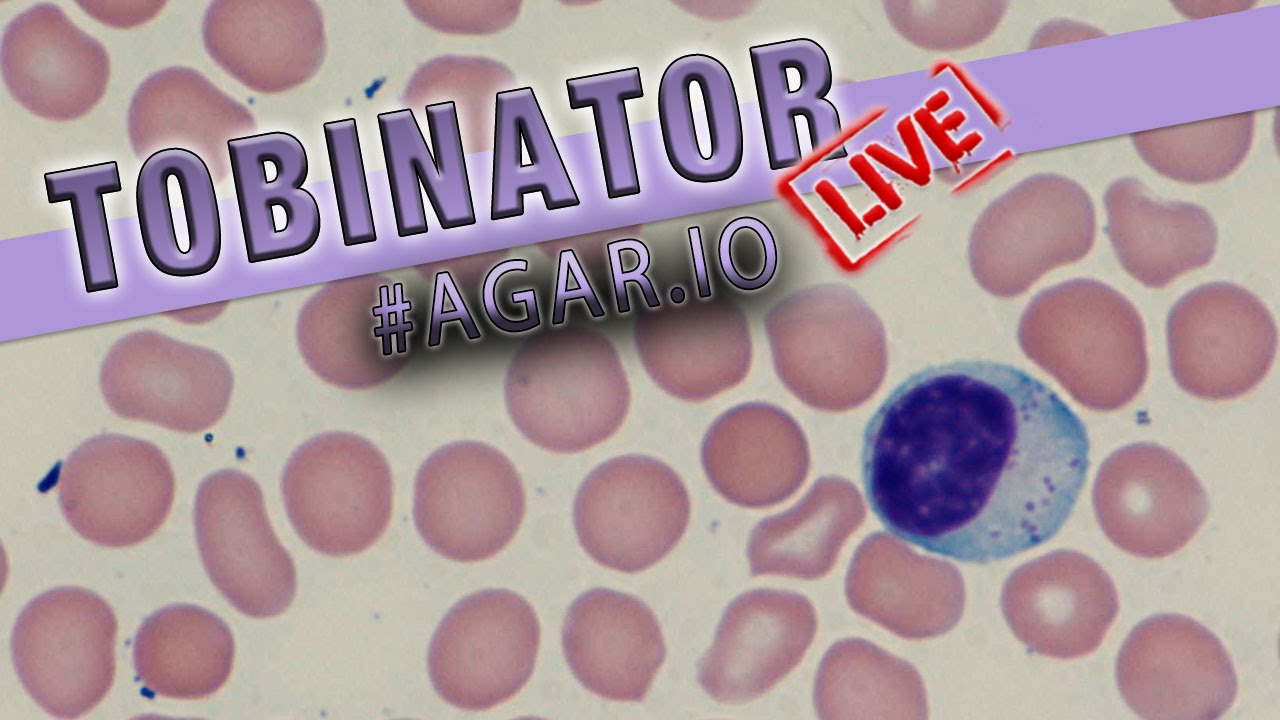 TOBINATOR LIVE #015 «» Let's Play AGAR.IO [3/4] «» Live Stream via ...