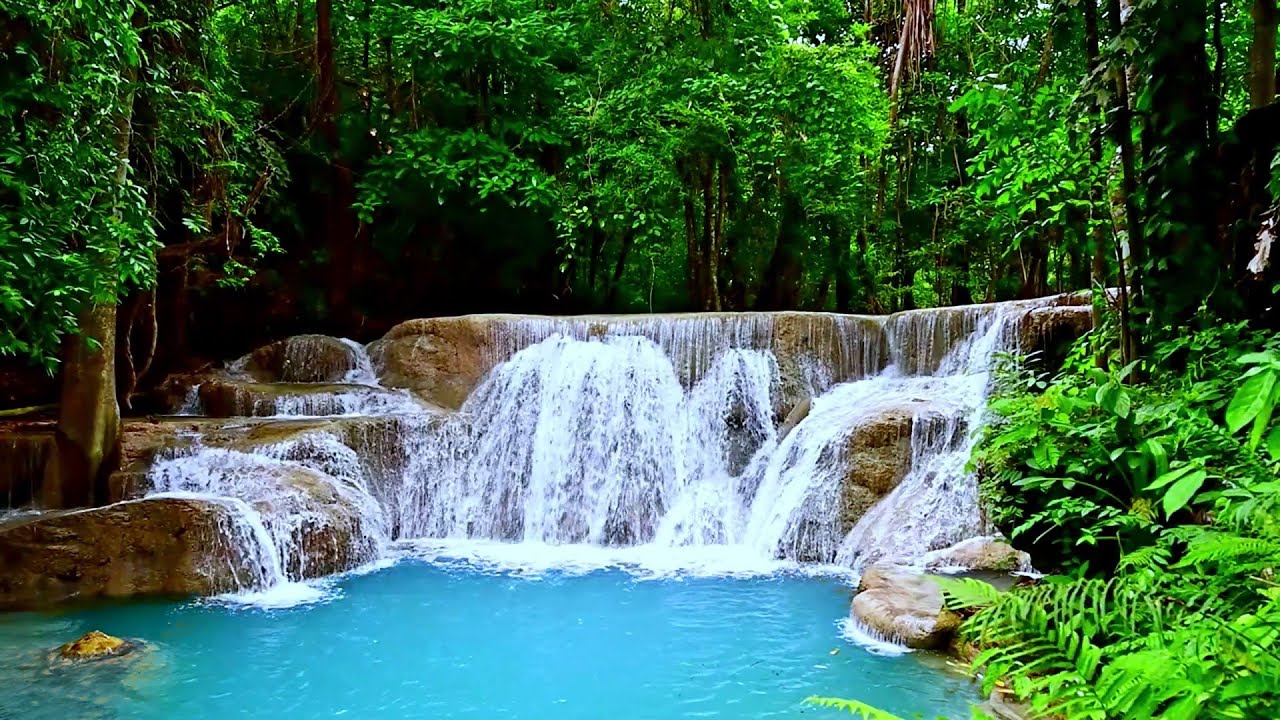 Relaxing Waterfall & River Sounds | Nature Sounds For Sleeping Or ...