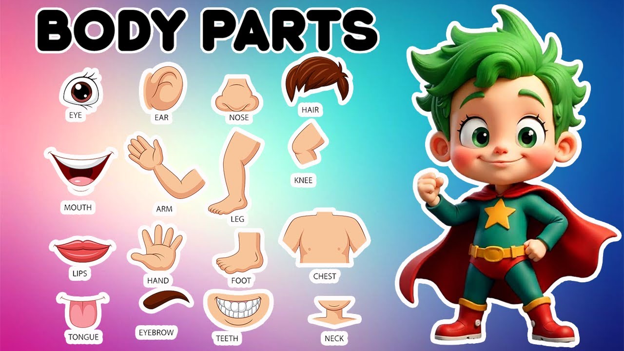 Educational Toddler Learning Video | Body Parts Baby Cartoon | Kids ...