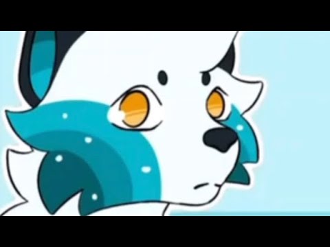 (#200 🎉) Daily dose of anti furry memes that reached 200! - YouTube
