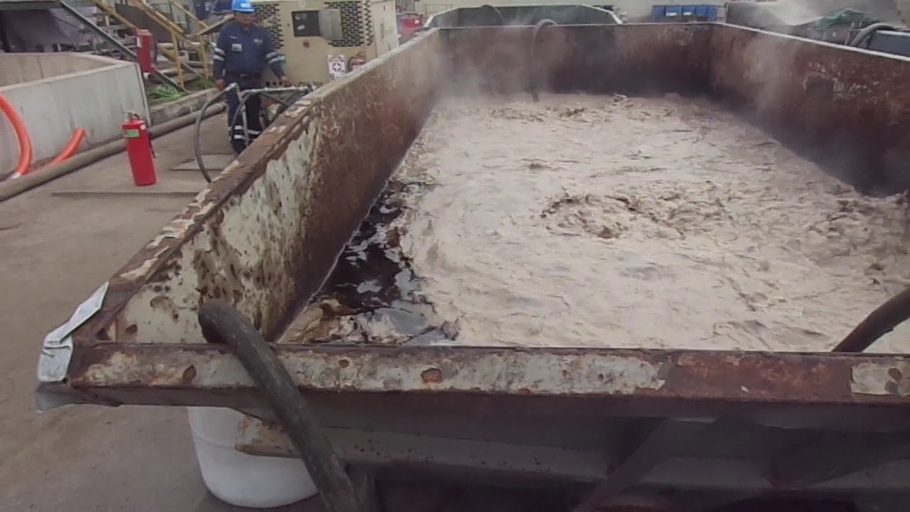 Ecosafeems - YouTube