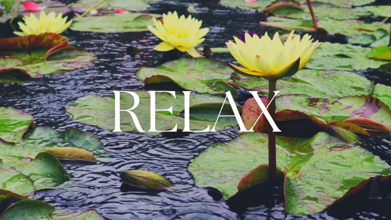 Water Sound With Relaxing Music - Stress Relief, Anxiety Relief, Sleep ...