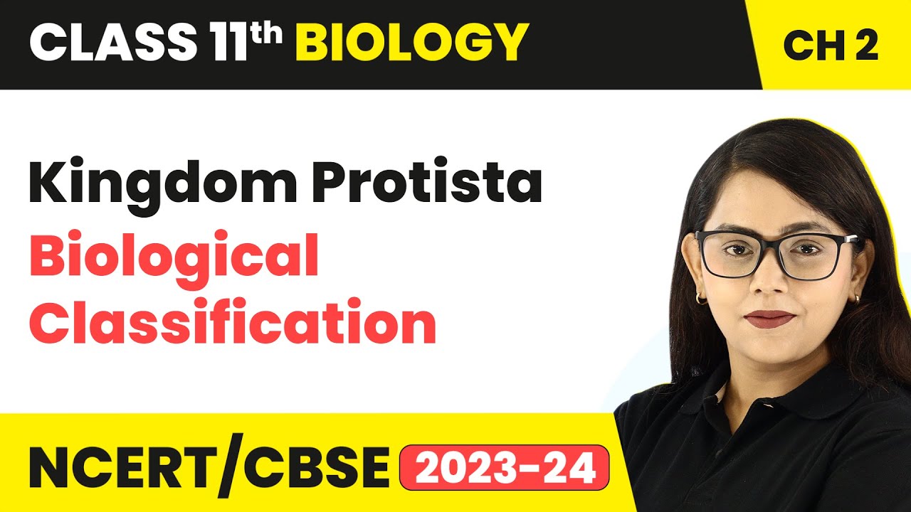 Kingdom Protista - Biological Classification | Class 11 Biology Chapter ...