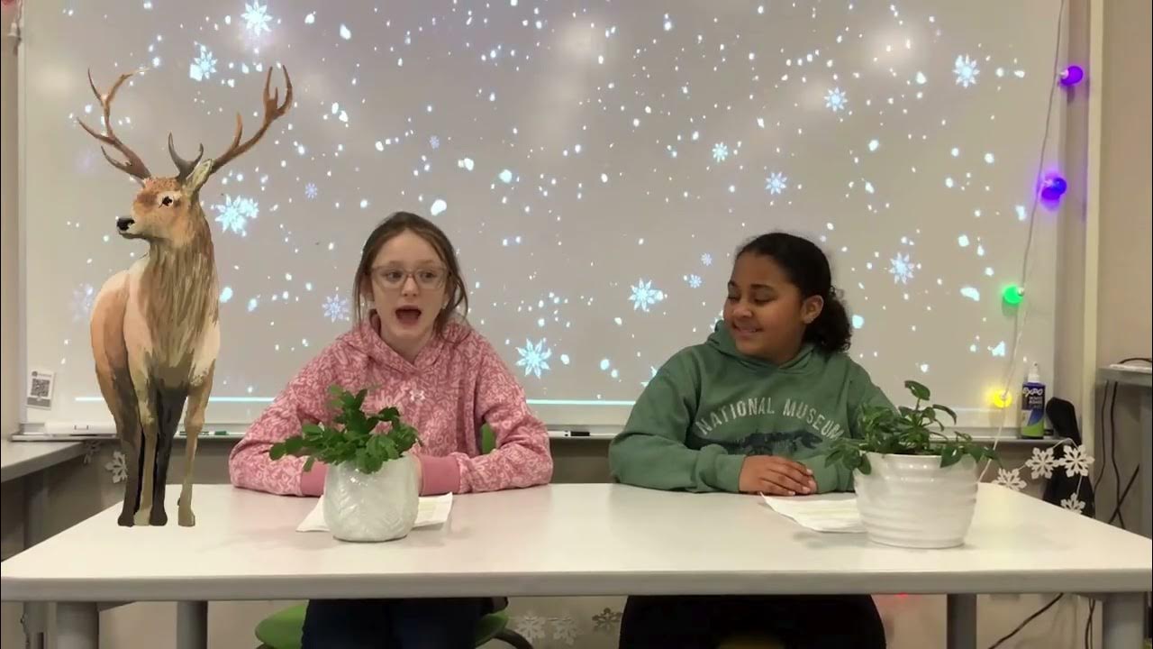 SGN, Some Good News Episode 1 - YouTube