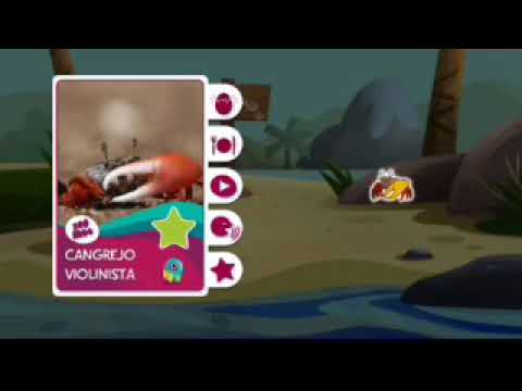 Zoomoo cartas del buitre y cangrejo violinista - YouTube