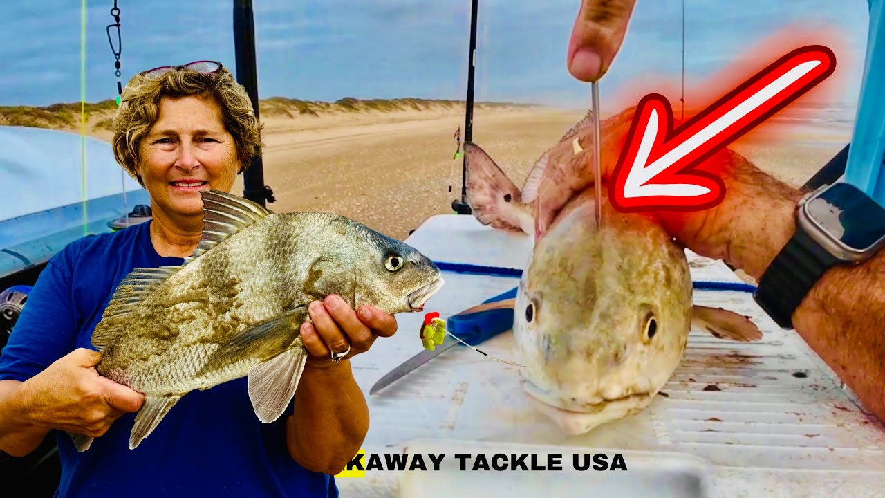 Most Humane Way to Put out A Fish. Surf Fishing Padre Island National ...