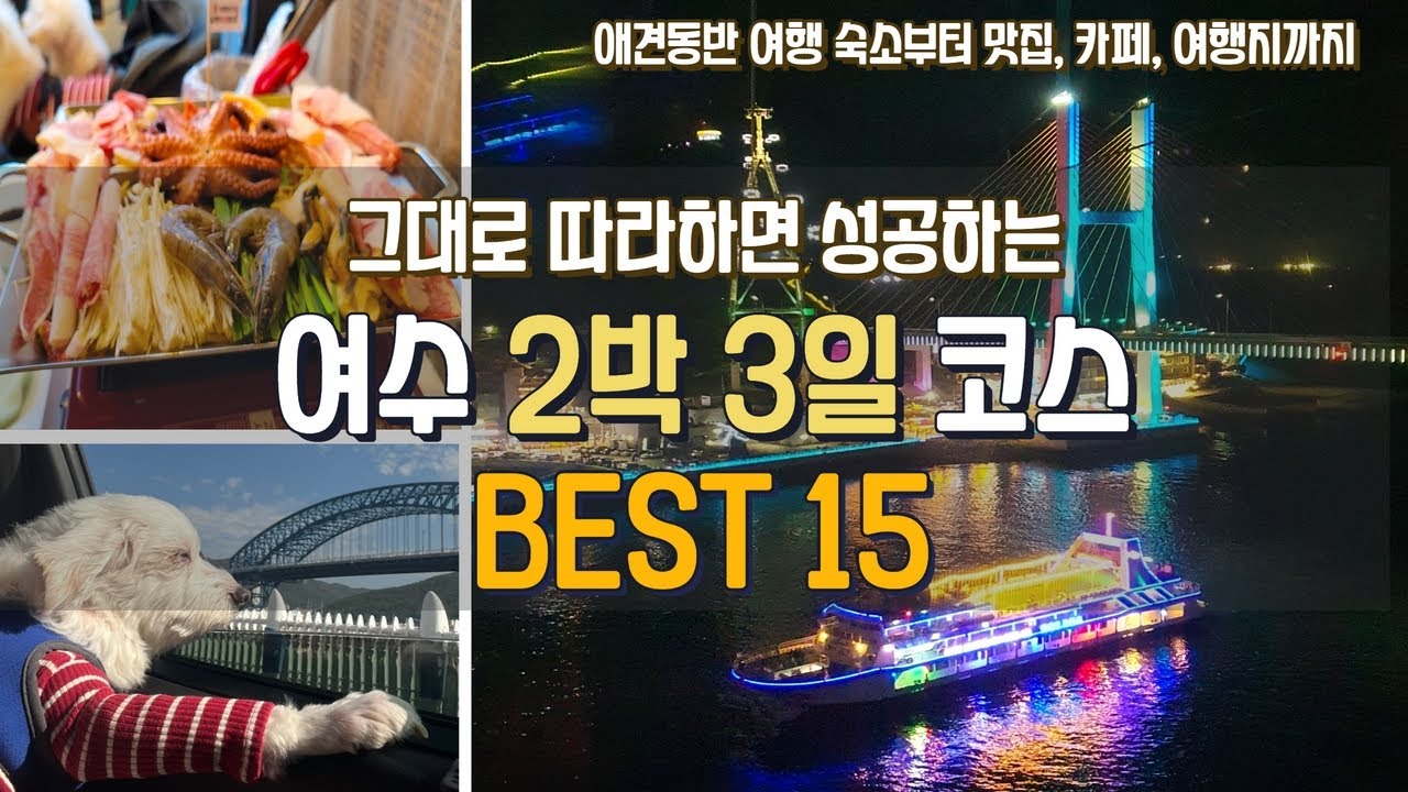 여수여행 그대로 따라하면 성공하는 여수여행 2박3일 베스트 15 애견동반 여행 꿀팁부터 유탑마리나 펫룸 앤드로이 브런치카페