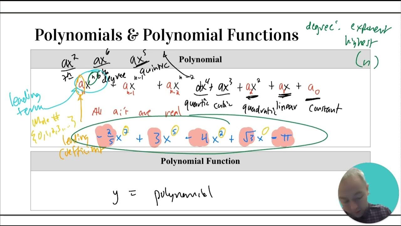 Introduction to Polynomial Functions (3.2) - Polynomials and ...