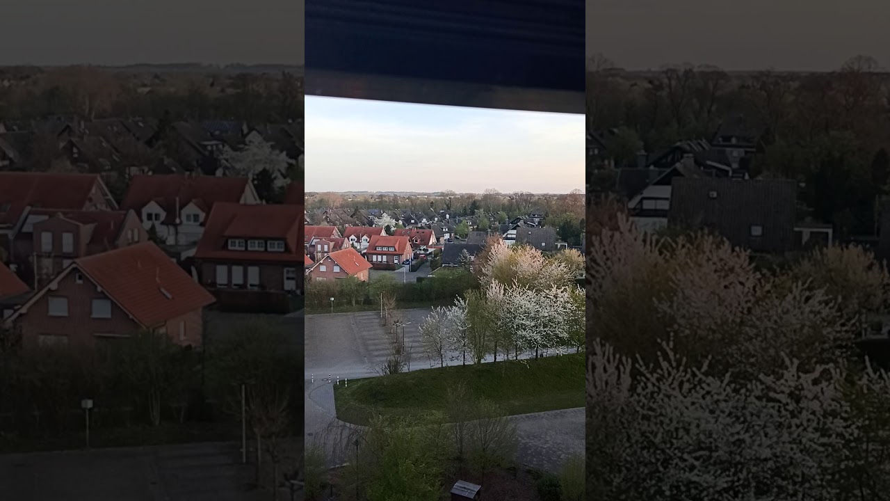 View from my room - YouTube