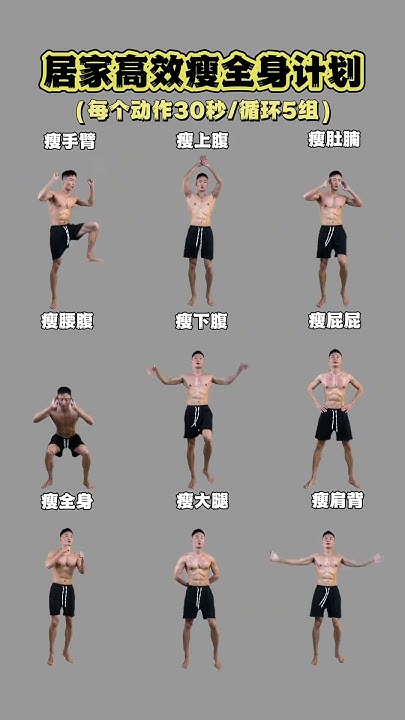 居家高效瘦全身合集 不跑不跳不伤关节，男女老少都能练，新手也能快速上手，一起蜕变吧！暴汗燃脂瘦全身 居家锻炼 瘦肚子 Youtube