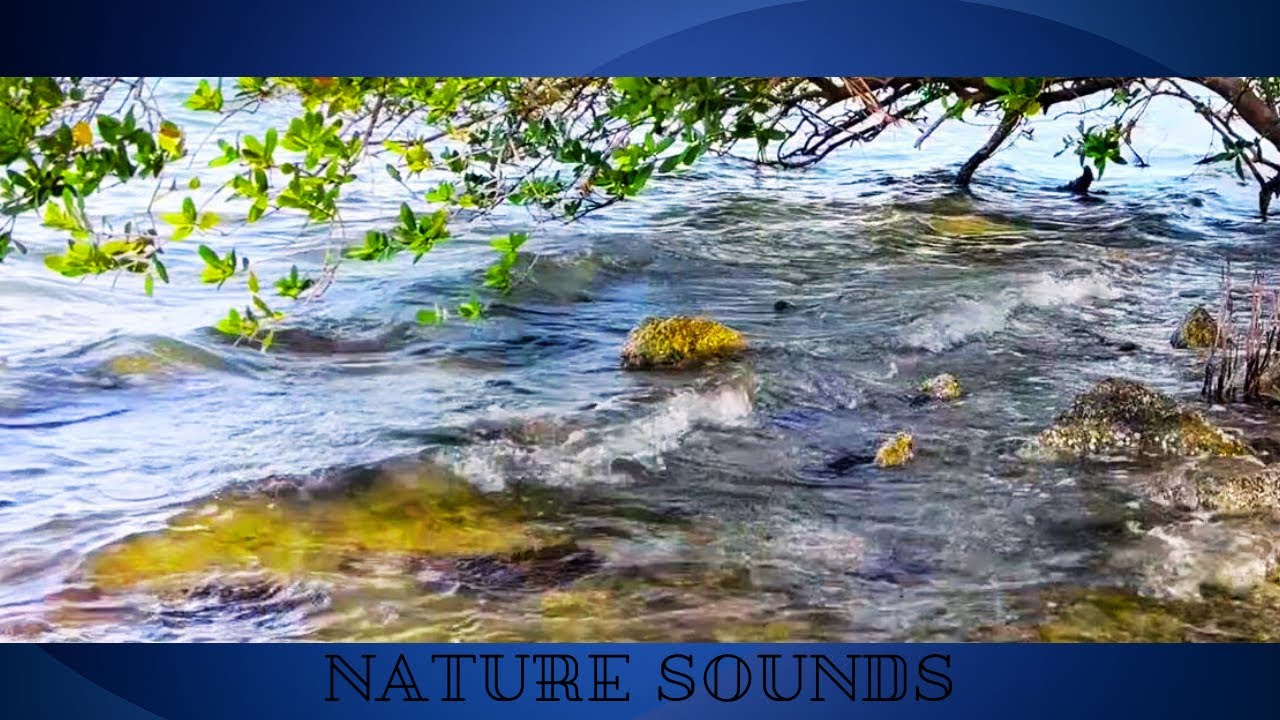 Soothing and Relaxing Waves Sounds for Relaxation, Sleeping, and Stress ...