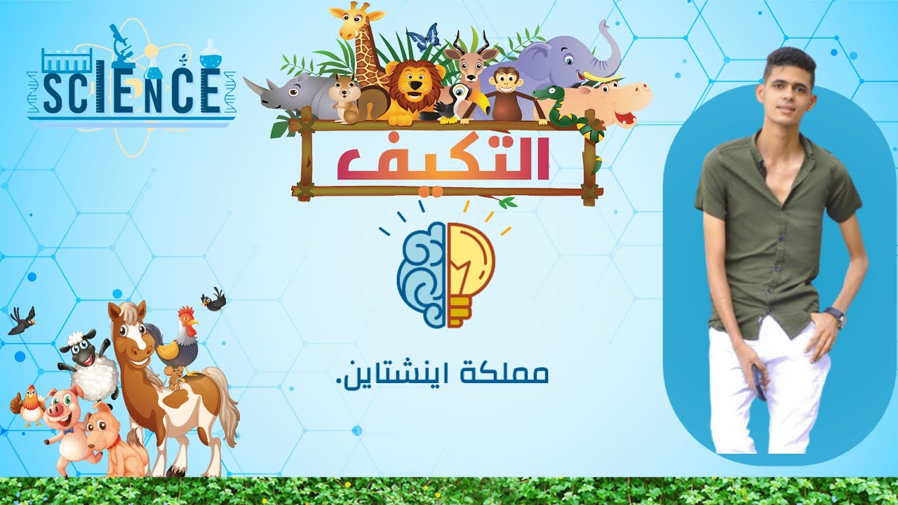 علوم الصف الرابع الابتدائي التكيف نشاط1و2و3 Youtube