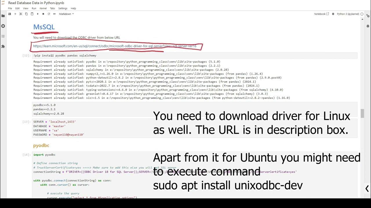 Accessing and Reading Data from MySQL, PostgreSQL, and MSSQL Databases in Python - YouTube