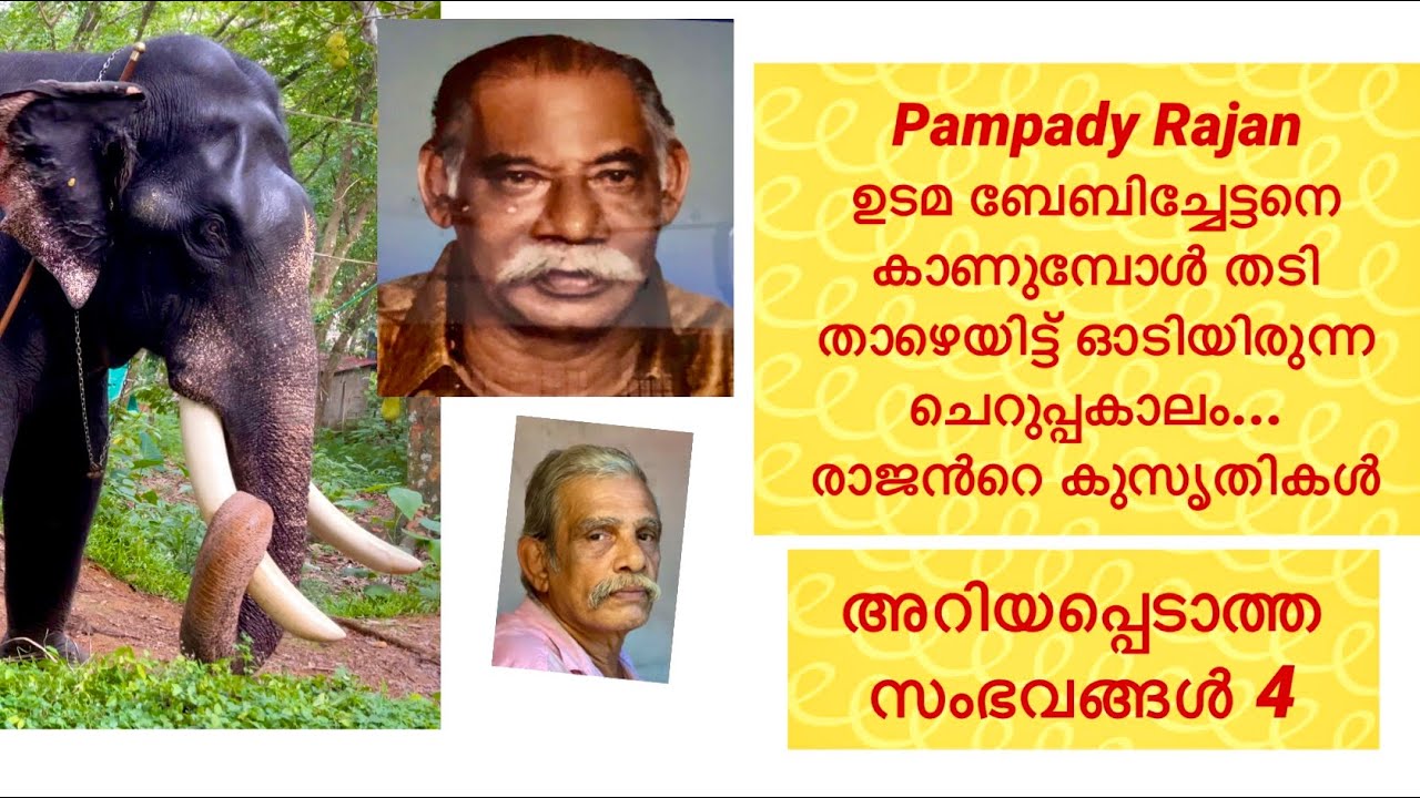 Pampady Rajan നും ഉടമസ്ഥൻ ബേബിച്ചേട്ടനും രാജൻറെ കുസൃതികൾ VM Pradeep ...