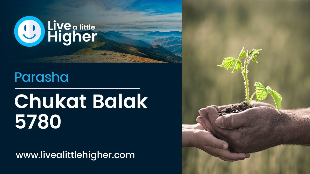 Weekly Torah Portion Chukat Balak 5780 - YouTube