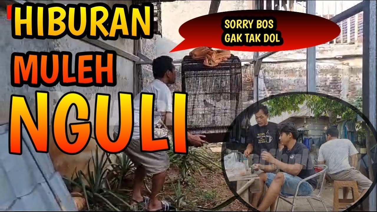 KEGIATAN BALEK NGULI BOSS | 2023 | #nguli #merantau - YouTube