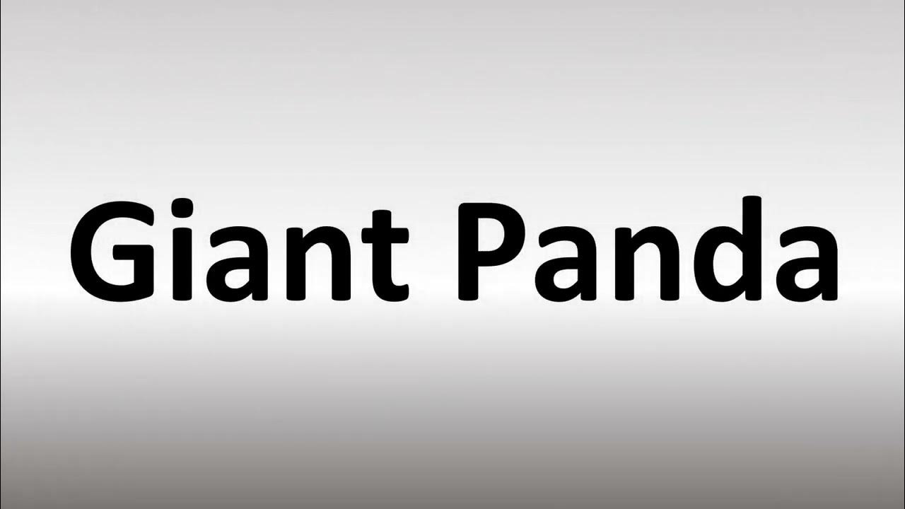 How to Pronounce Giant Panda - YouTube
