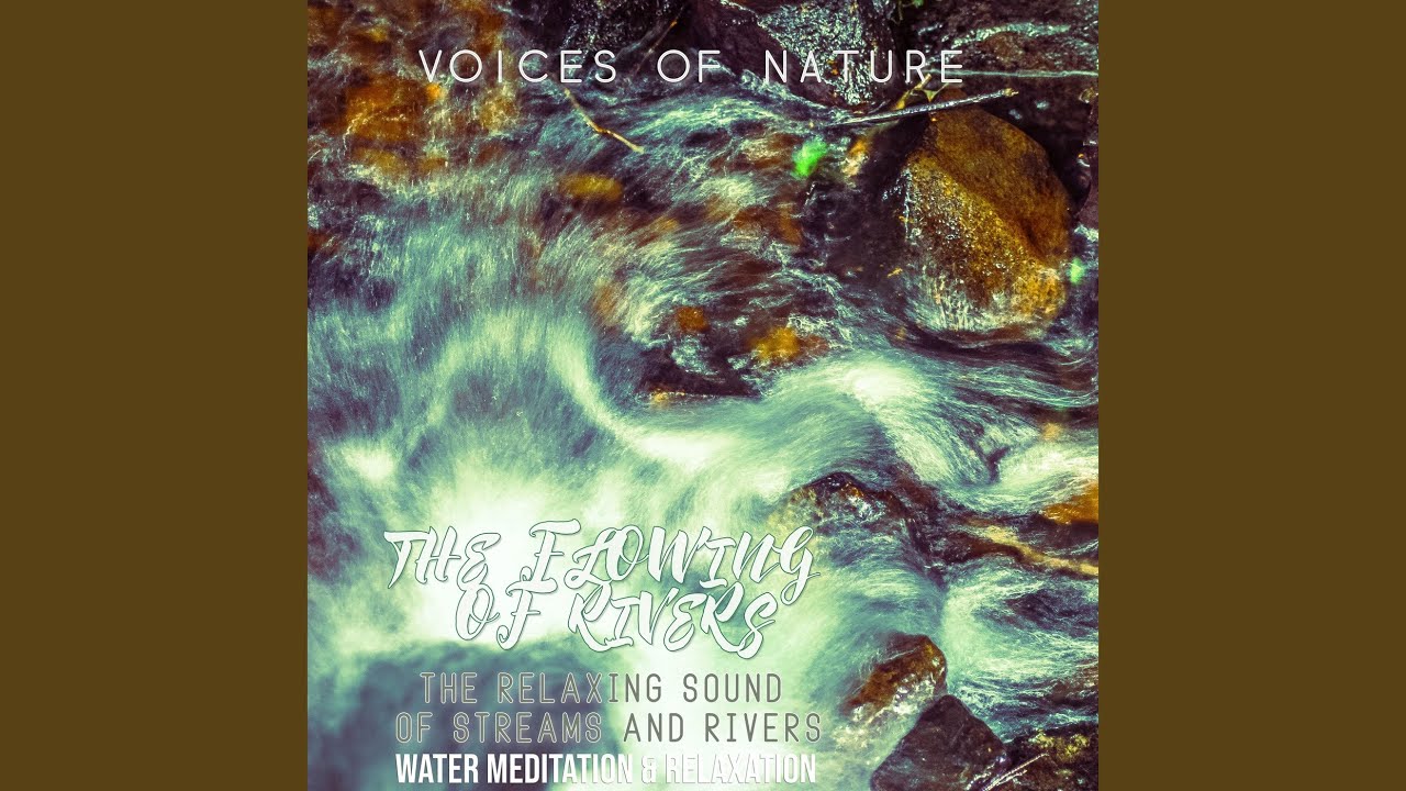 Rippling Rainforest Stream - YouTube