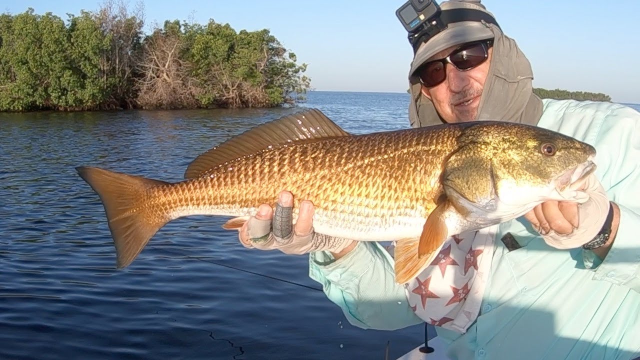 a Redfish, a Jack & a Snook - YouTube