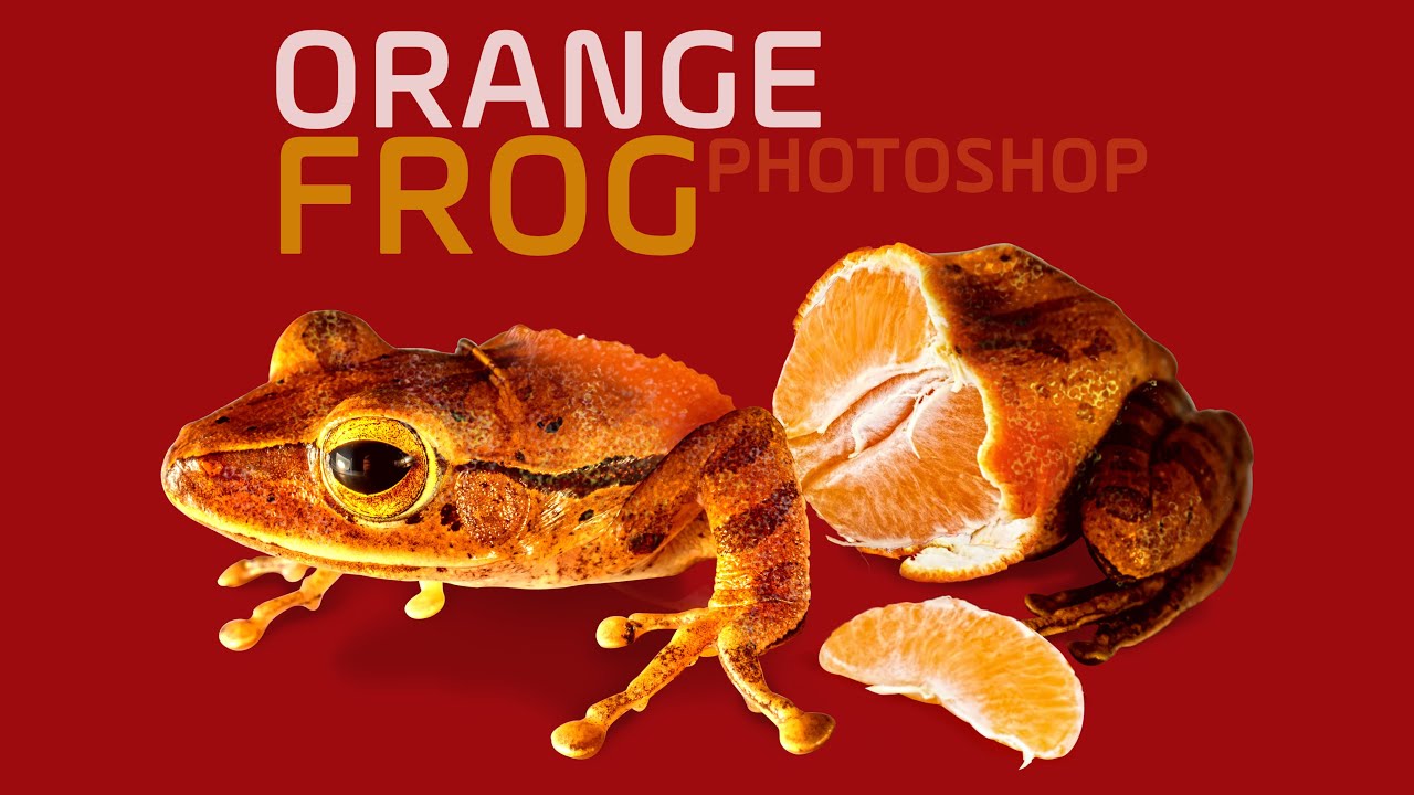 PHOTOSHOP FUN | Strange orange Frog | Photoshop tutorial - YouTube