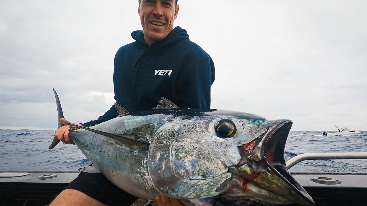 My First Geelong Bluefin Tuna - YouTube
