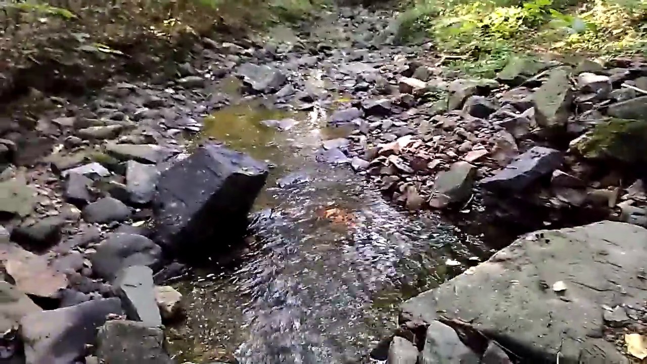 Zlatý potok - lokalita Kraskov 2019 - YouTube