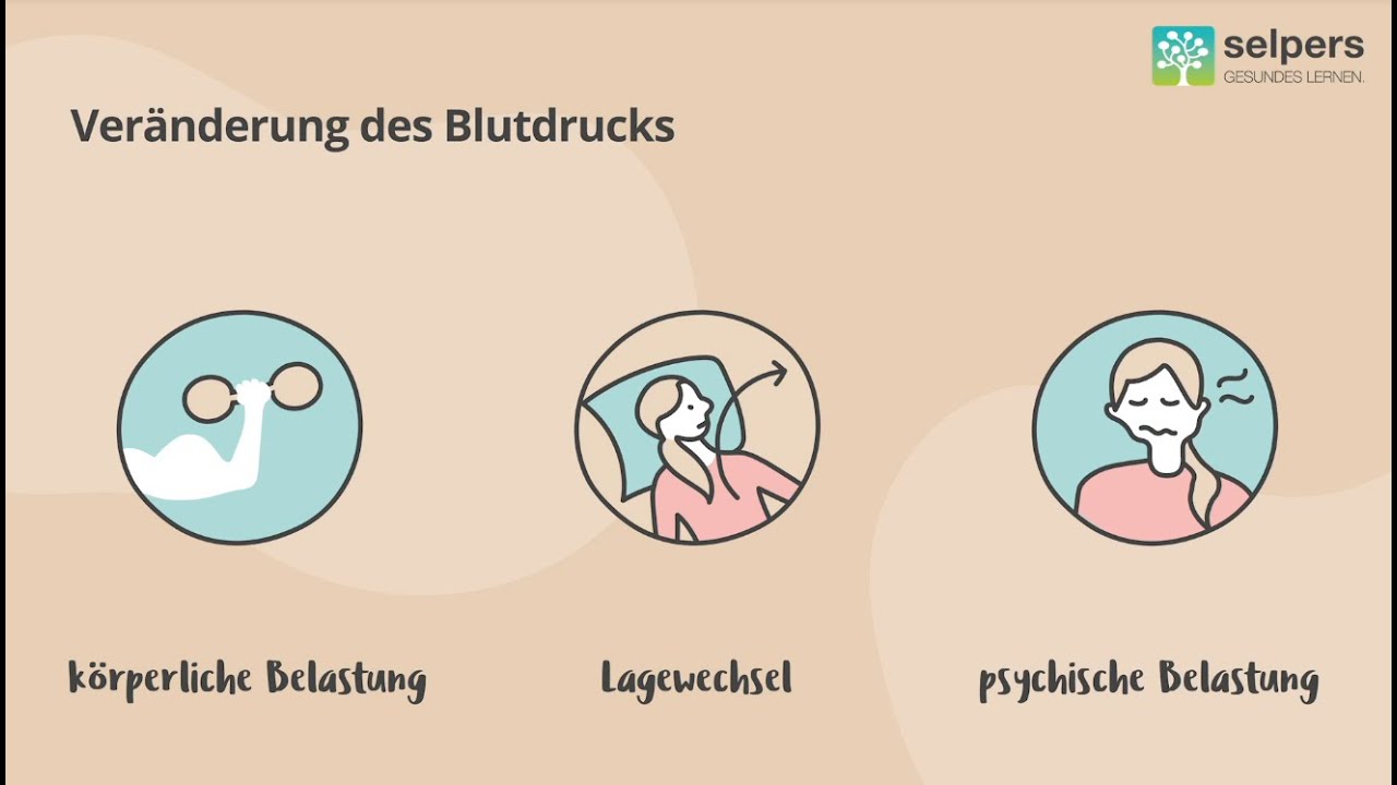 Wie entsteht Bluthochdruck? Arzt erklärt die Ursachen - YouTube