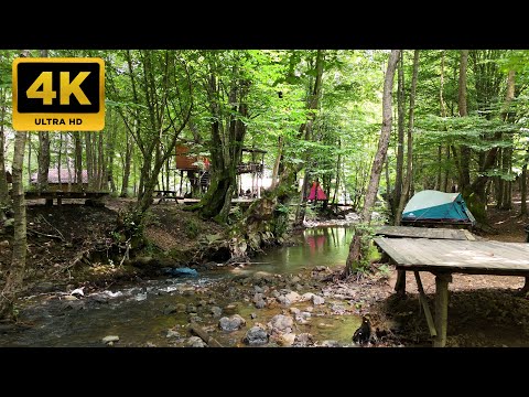 ERİKLİ YAYLASI VE ÇİFTE ŞELALE KAMP ALANI ÇOK DEĞİŞMİŞ - 4K - #erikli #eriklişelalesi #erikliyaylası